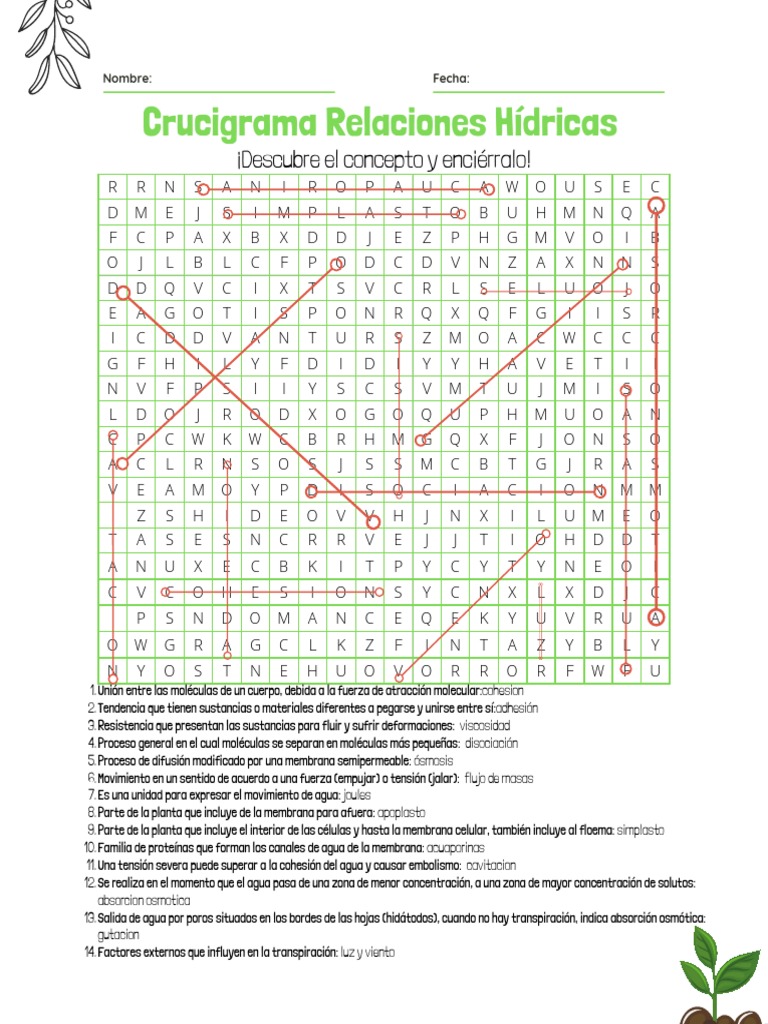 Sopa de Letras Fisiologia | PDF | Ósmosis | Biología Celular
