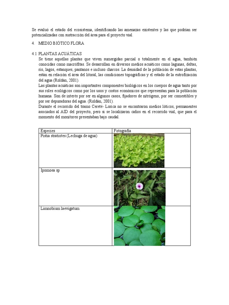 Medio Biótico | PDF | Mamíferos | Los bosques