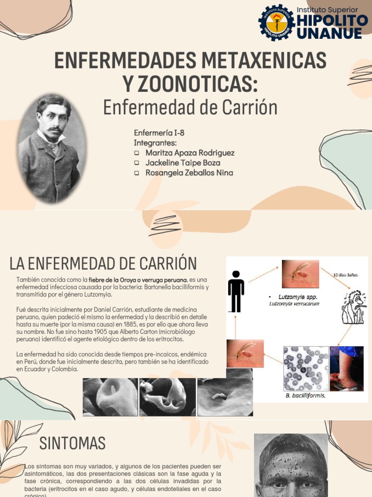 Enfermedad de Carrion | PDF