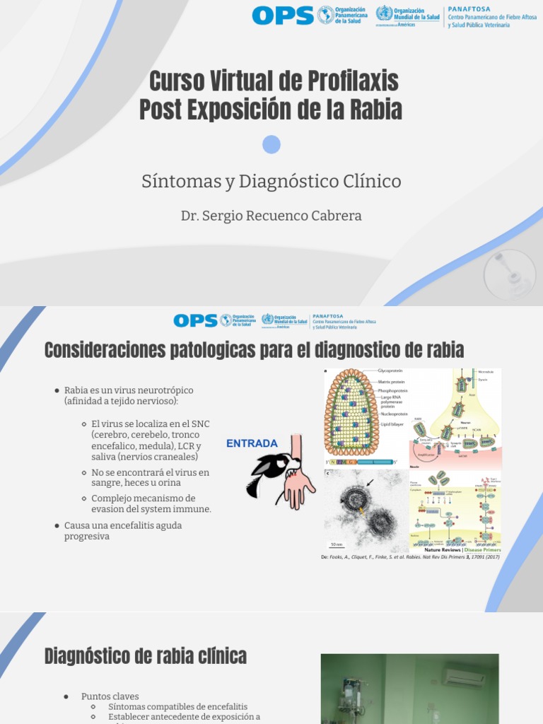 Modulo 3 - 3 - DR Sergio Recuenco | PDF | Rabia | Síntoma