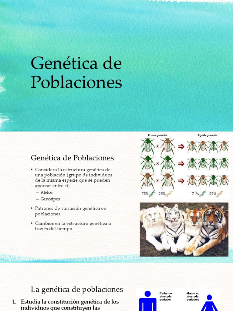 Genetica de Poblaciones 2023 | PDF | Alelo | Genotipo