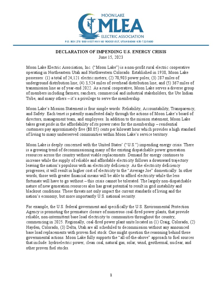 MLEA Declaration - National Energy Policy - v1.3 | PDF | Power Station | Electricity Generation