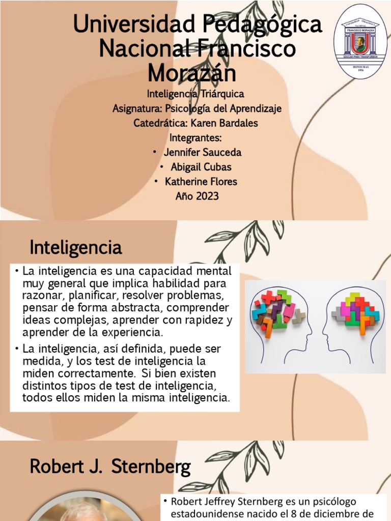 Teoría Triárquica | PDF | Inteligencia | Aprendizaje