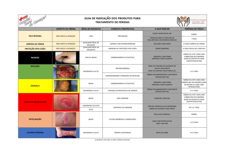 Guia de Indicação de Curativos - HGC SESAB em pdf-1 | PDF | Medicina ...