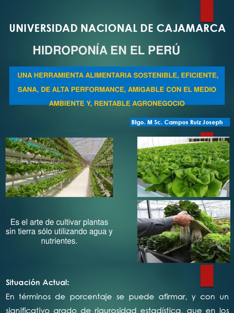 Hidroponia en El Perú | PDF | Hidroponia | Agricultura Hidroponia en El Perú | PDF | Hidroponia | Agricultura