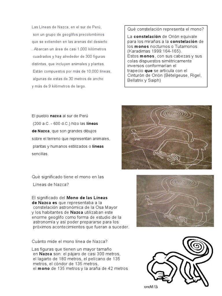 Las Líneas de Nazca | PDF | Ciencias sociales | Historia