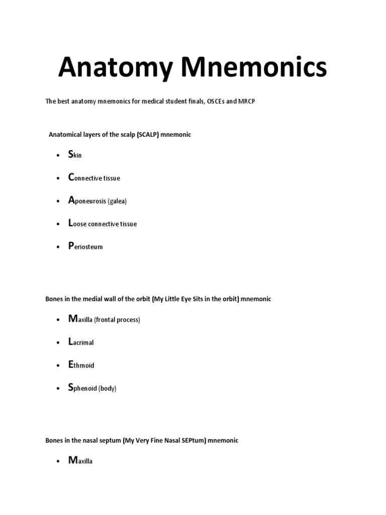 Anatomy Mnemonics | PDF | Anatomy | Limbs (Anatomy)