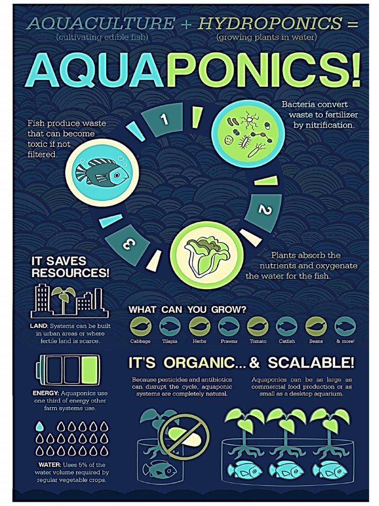 Aquaponics Poster | PDF