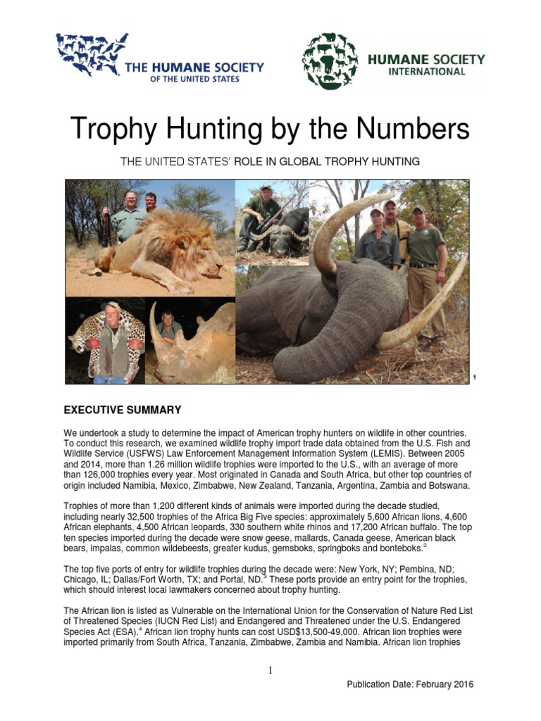 Report Trophy Hunting by The | PDF | Hunting | Lion