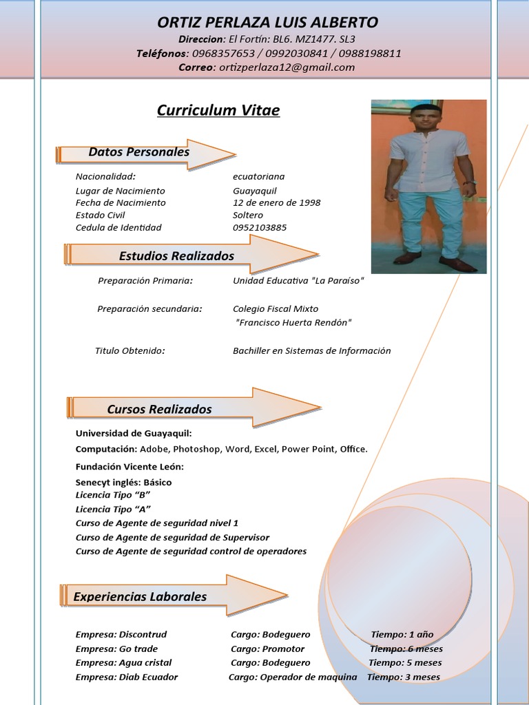 Curriculo 2022 Luigui | PDF