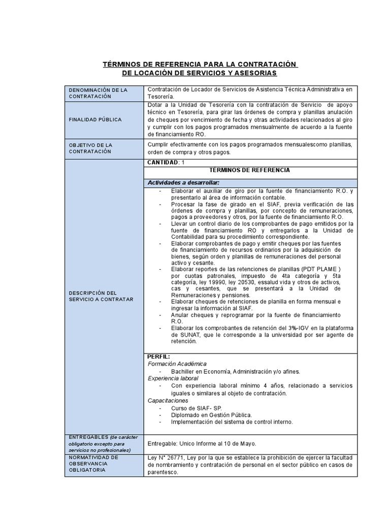 TDR y Formatos Nueva Directiva | PDF | Contabilidad | Economias