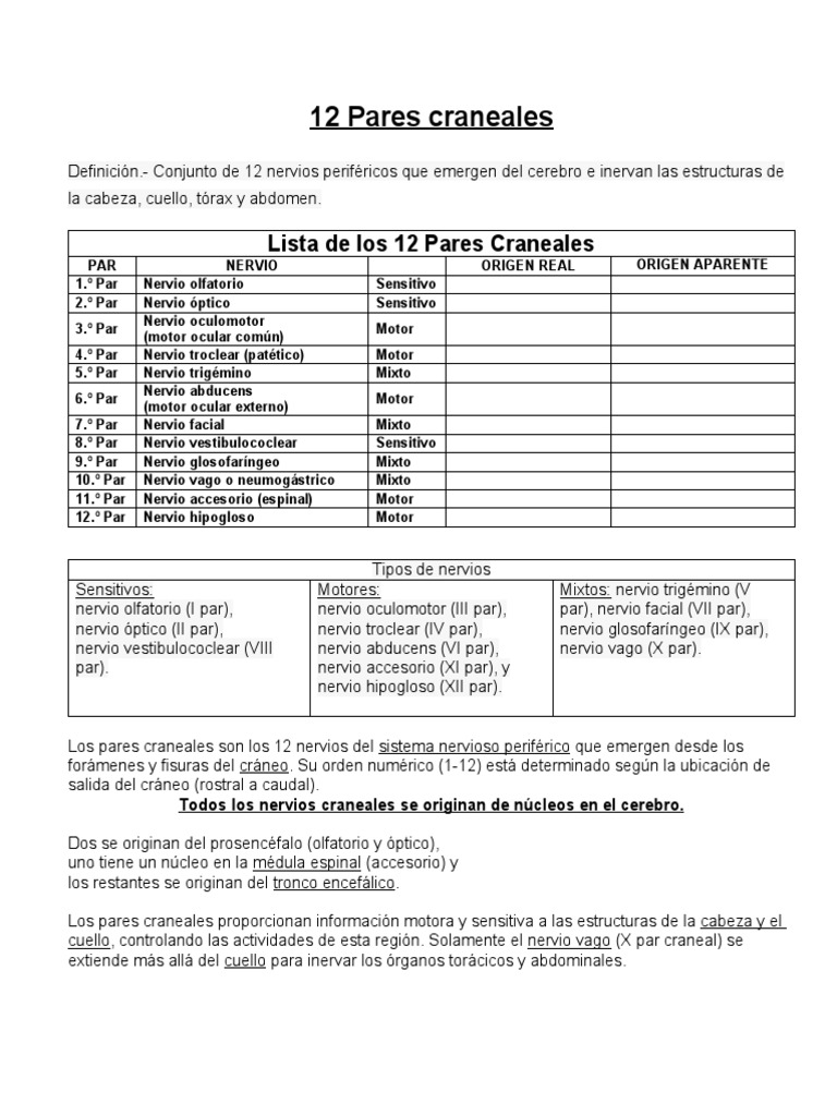Funciones de los 12 Pares Craneales | PDF | Nervio vago | Neuroanatomía