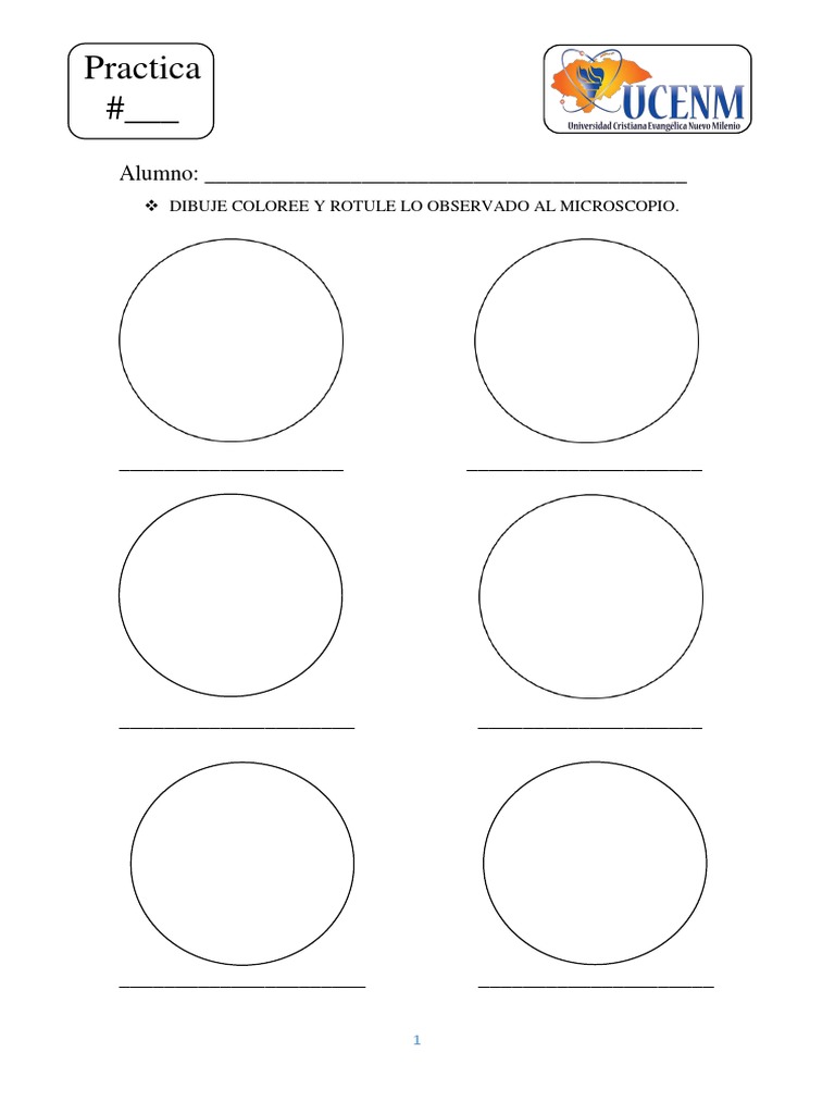 Reporte de EGH 2 | PDF | Crecimiento personal y profesional | Negocios