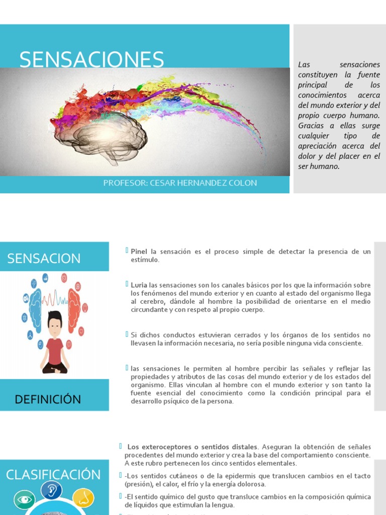 SENSACIONES | PDF | Percepción | Gusto
