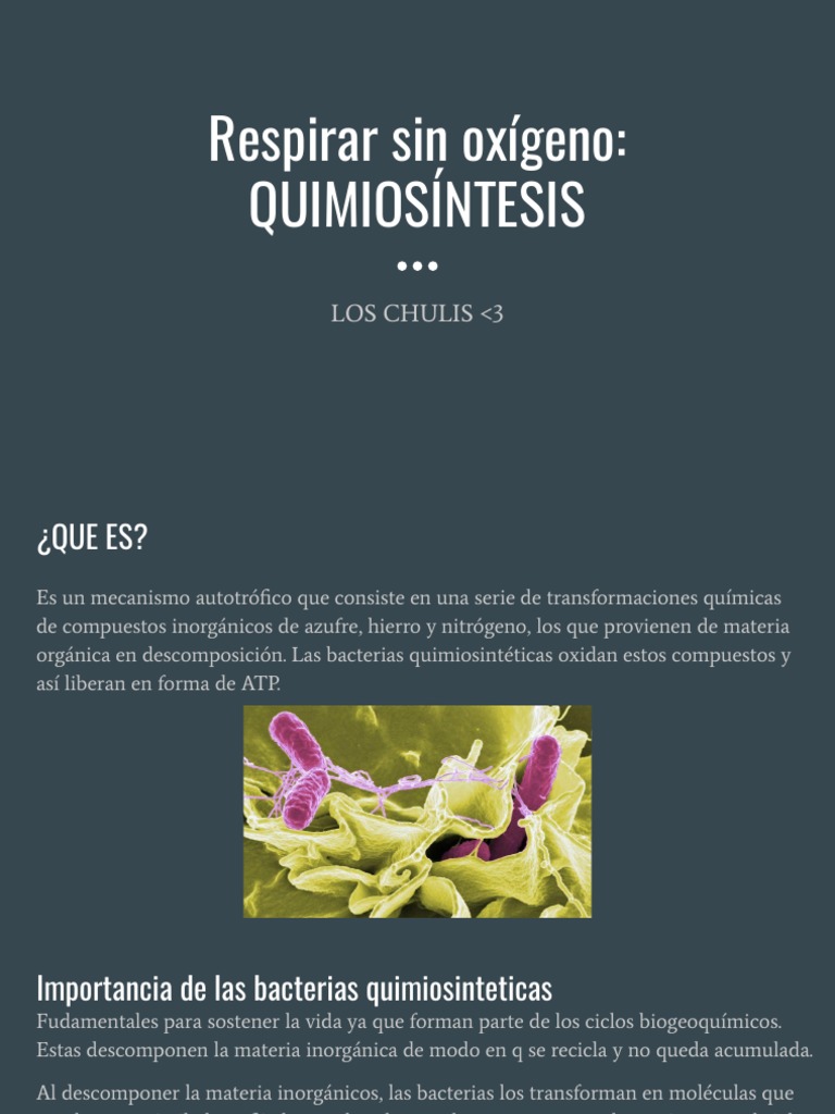 Quimiosintesis | PDF