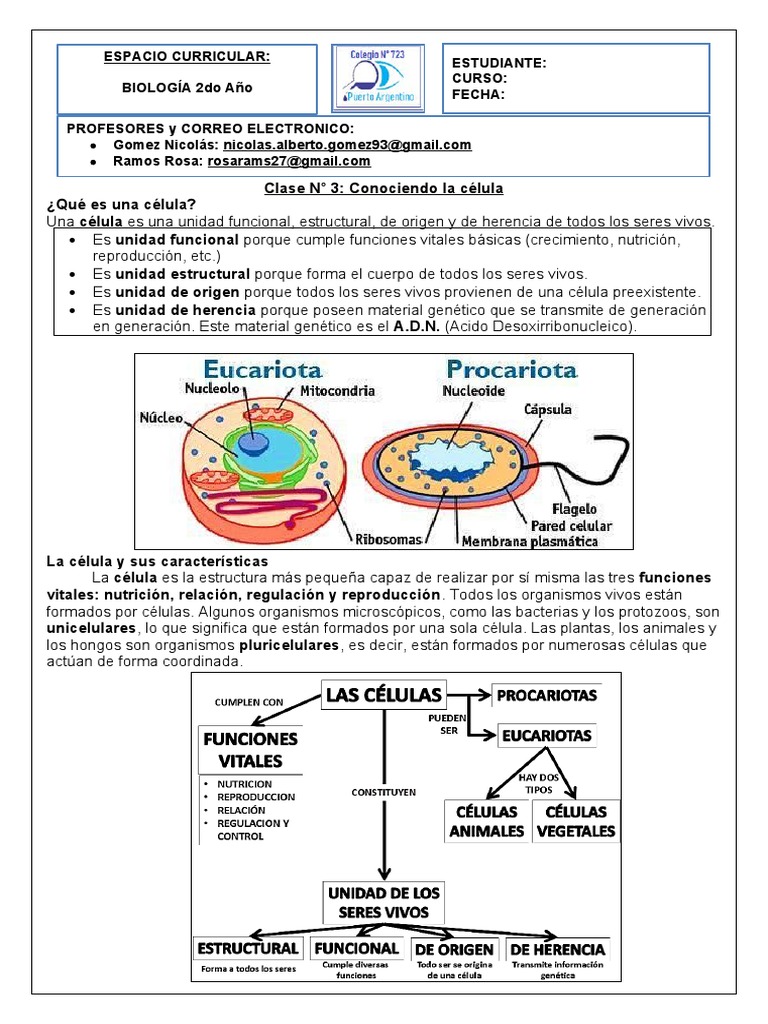 Biologia 2do Año (Conociendo La Celula) | PDF | Biología Celular ...