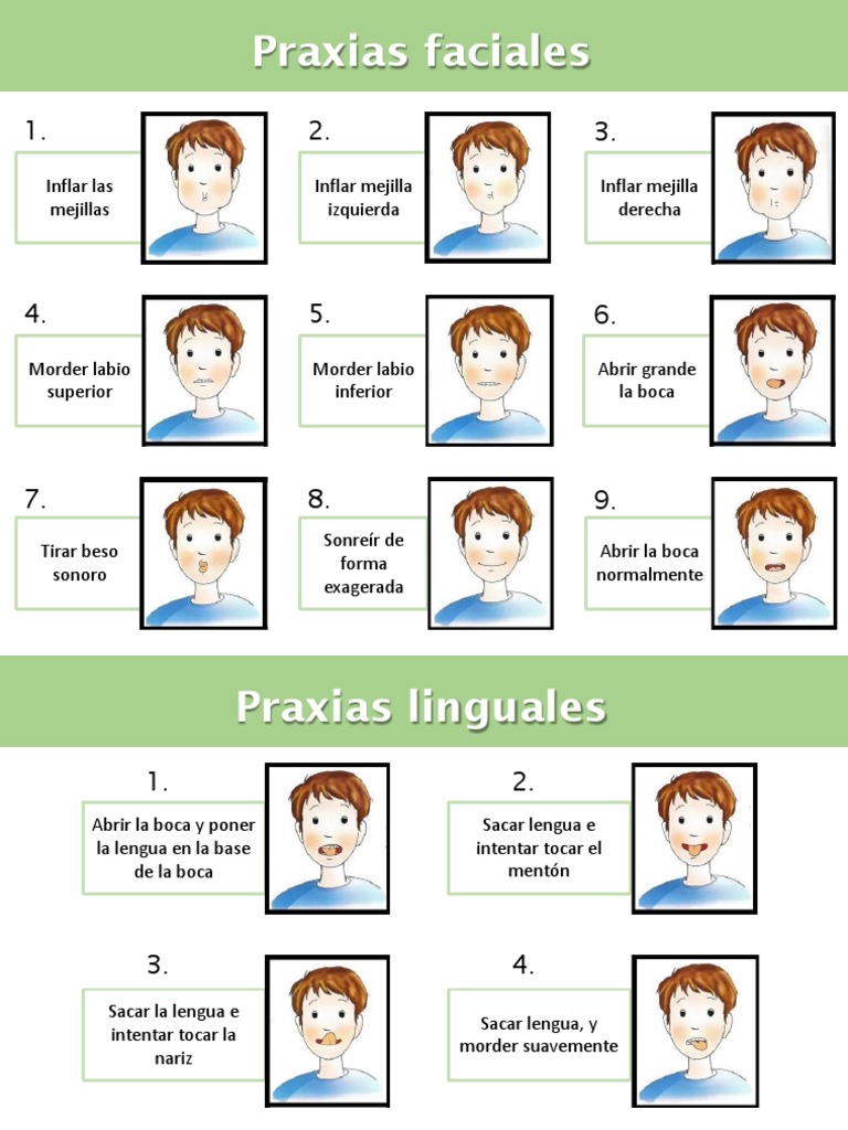 Praxias Faciales Y Liguales Pdf