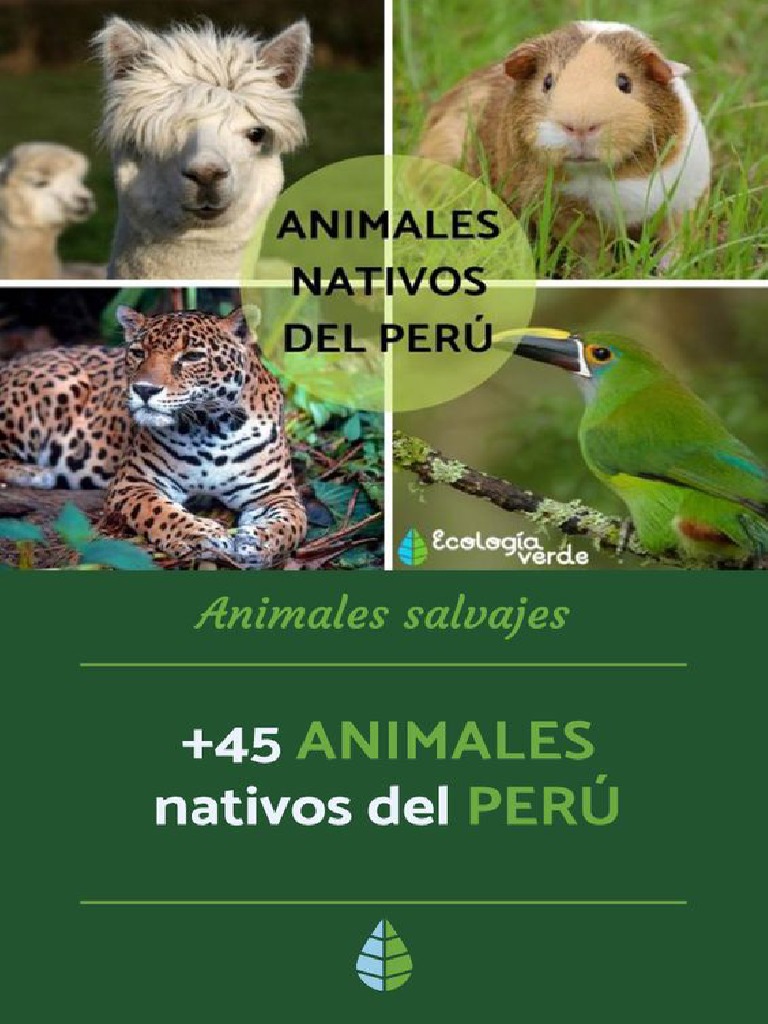 Animales Nativos Del Perú | PDF