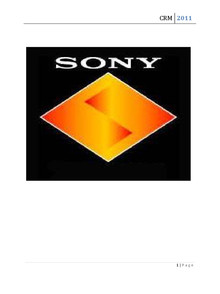 Sony Corporation | PDF | Sony | Customer Relationship Management