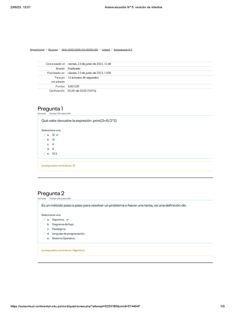 Autoevaluación de Programación en Python | PDF | Programación de computadoras | Lenguaje de ...
