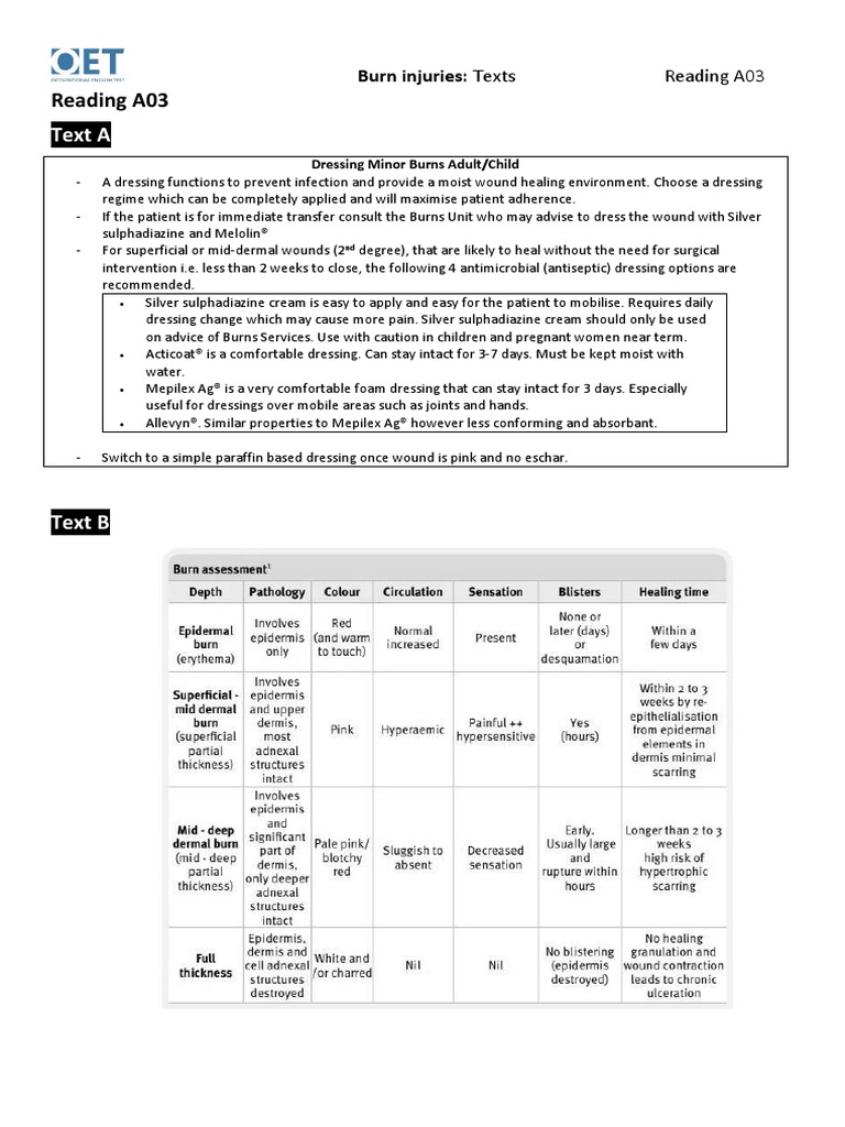 PPP Reading A TEST 3 Question Paper | PDF | Burn | Wound