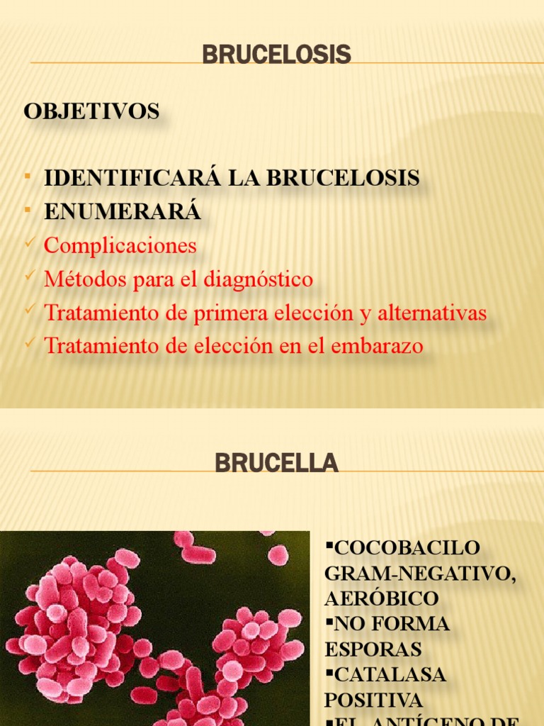 Brucelosis 2021 | PDF | Medicina | Epidemiología