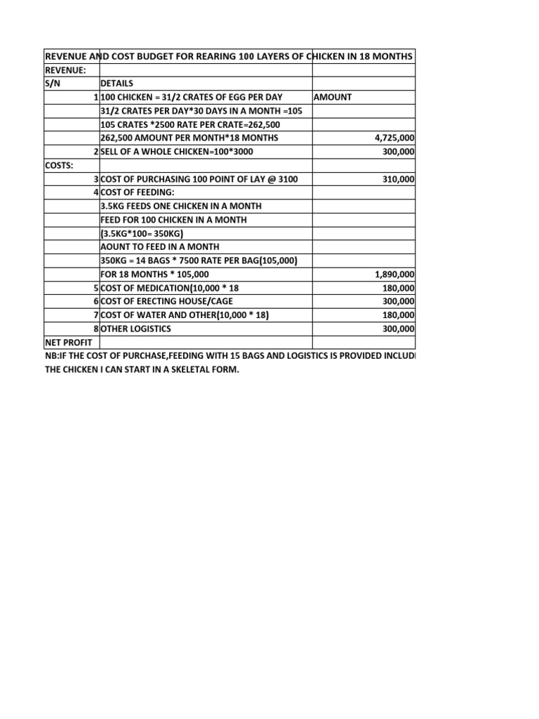 Budget For Layer Production | PDF