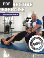 McGill Big 3 Core Exercises | PDF | Musculoskeletal System