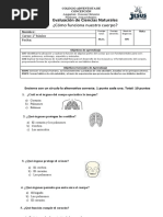 Prueba 2° Básico Mi Cuerpo Ciencias Naturales | PDF | Pulmón | Corazón