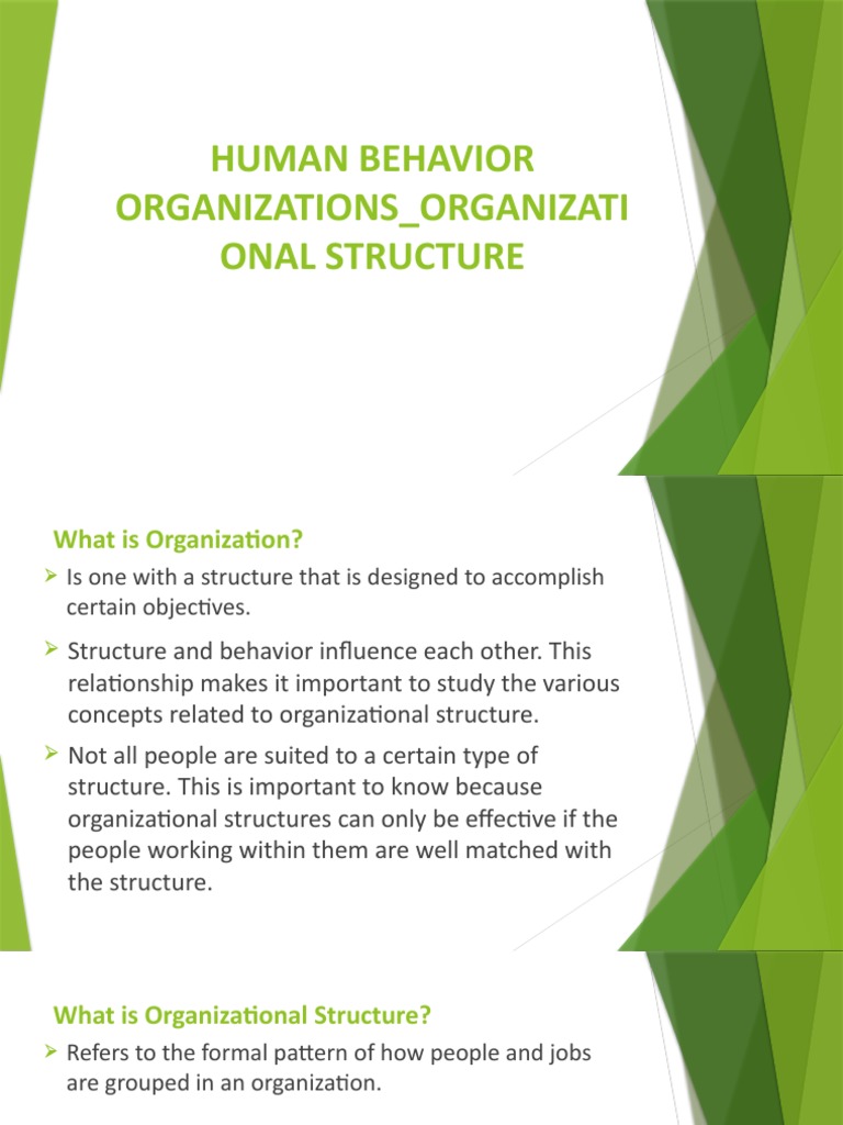 HBO - Organizational Structure | PDF | Organizational Structure ...