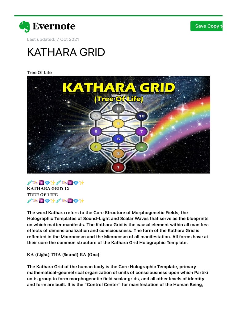 Kathara Grid | Download Free PDF | Vortices | Physics