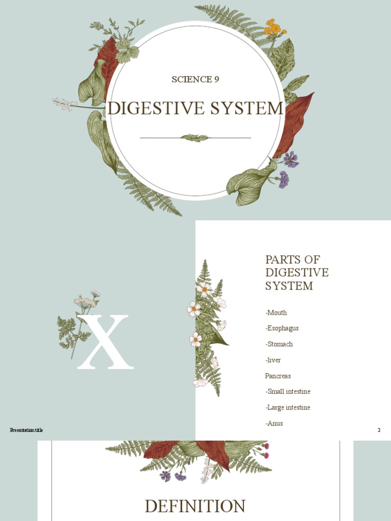 Digestive System | PDF | Gastrointestinal Tract | Digestion