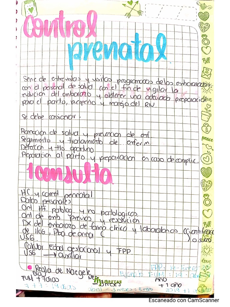 Control Prenatal | PDF