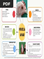 Viruela Aviar: Patogenia y Tratamiento | PDF | Especialidades Medicas ...