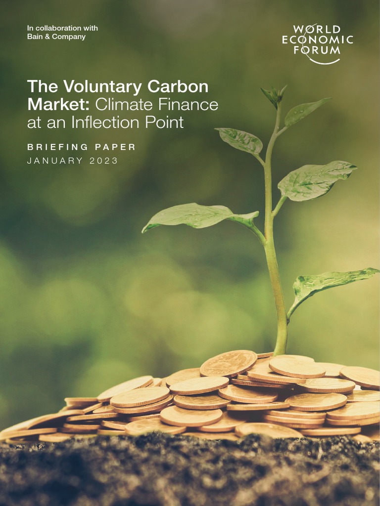 Voluntary Carbon Market Insights 2023 | PDF | Climate Change Mitigation ...