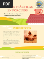 Buenas Practicas Granjas Porcicolas | PDF | Alimentos | Proteínas