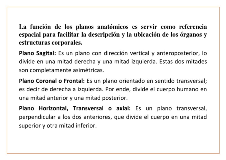 La Función de Los Planos Anatómicos Es Servir Como Referencia Espacial ...