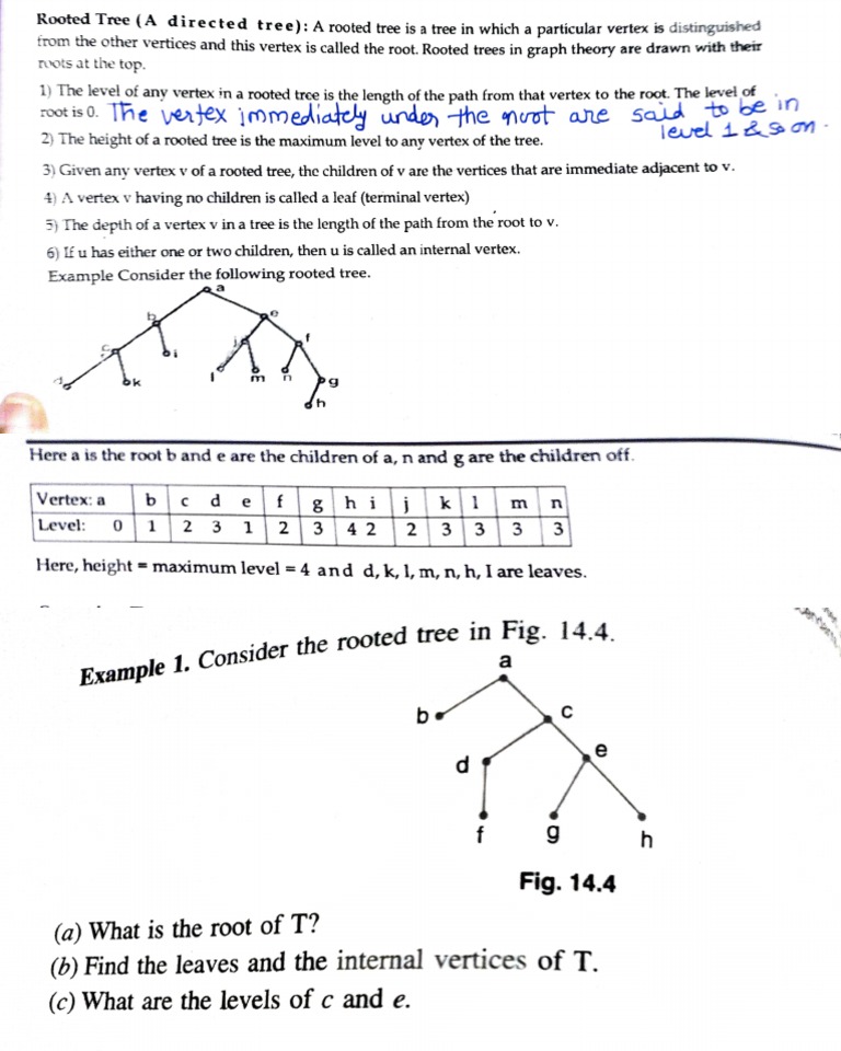 Rooted Tree and Problems | PDF | Mathematical Concepts | Combinatorics