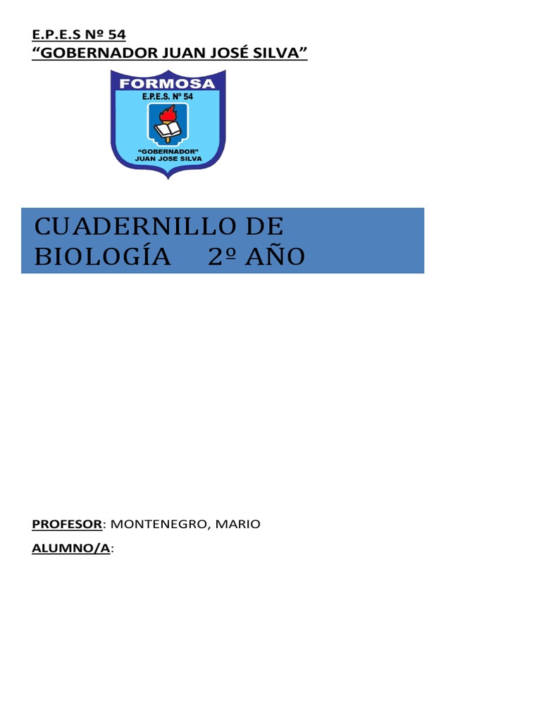 Cuadernillo Actividades Pdf Respiración Celular Biología Celular
