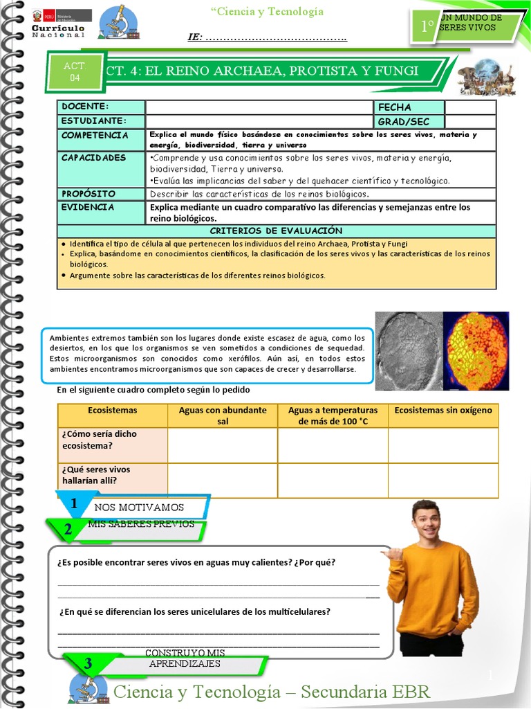 D-1º Act 4 Cyt Unid 1 - Sem 4 | PDF | Algas | Hongo