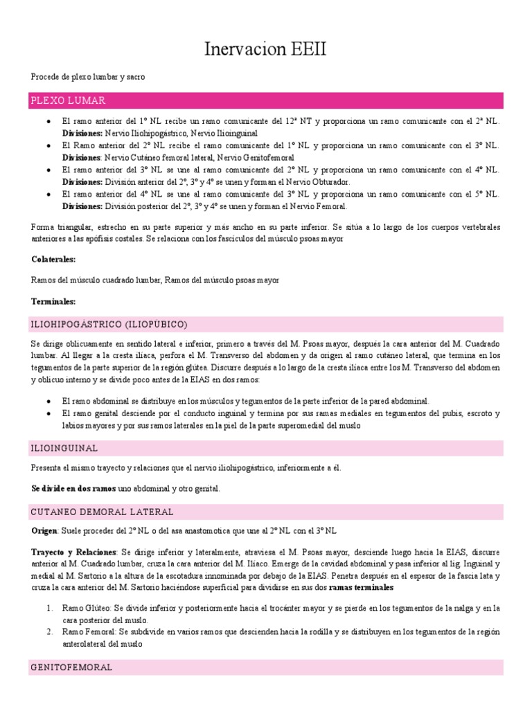 Inervacion EEII | PDF | Anatomía del miembro inferior | Sistema ...