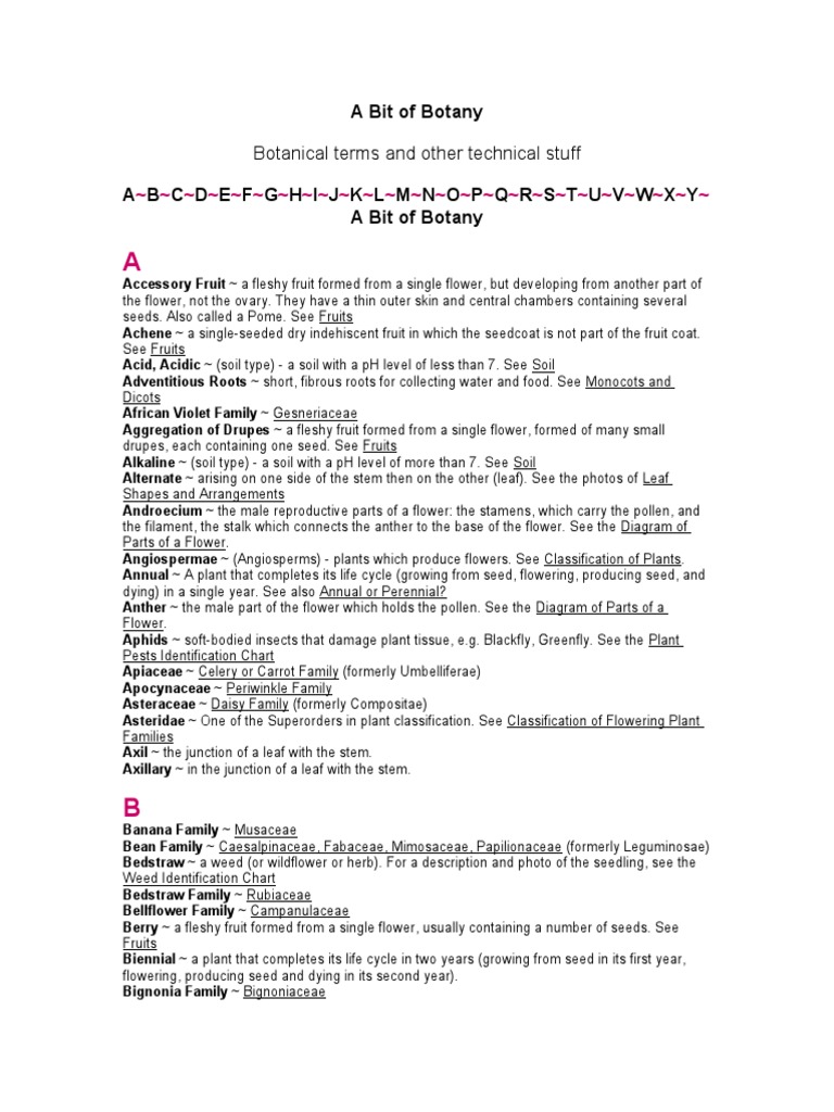 A Bit of Botany | PDF | Flowers | Seed