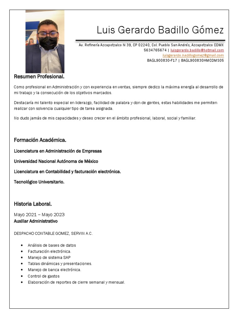 CV Luis Gerardo Badillo Actual | PDF | Logística | Contabilidad