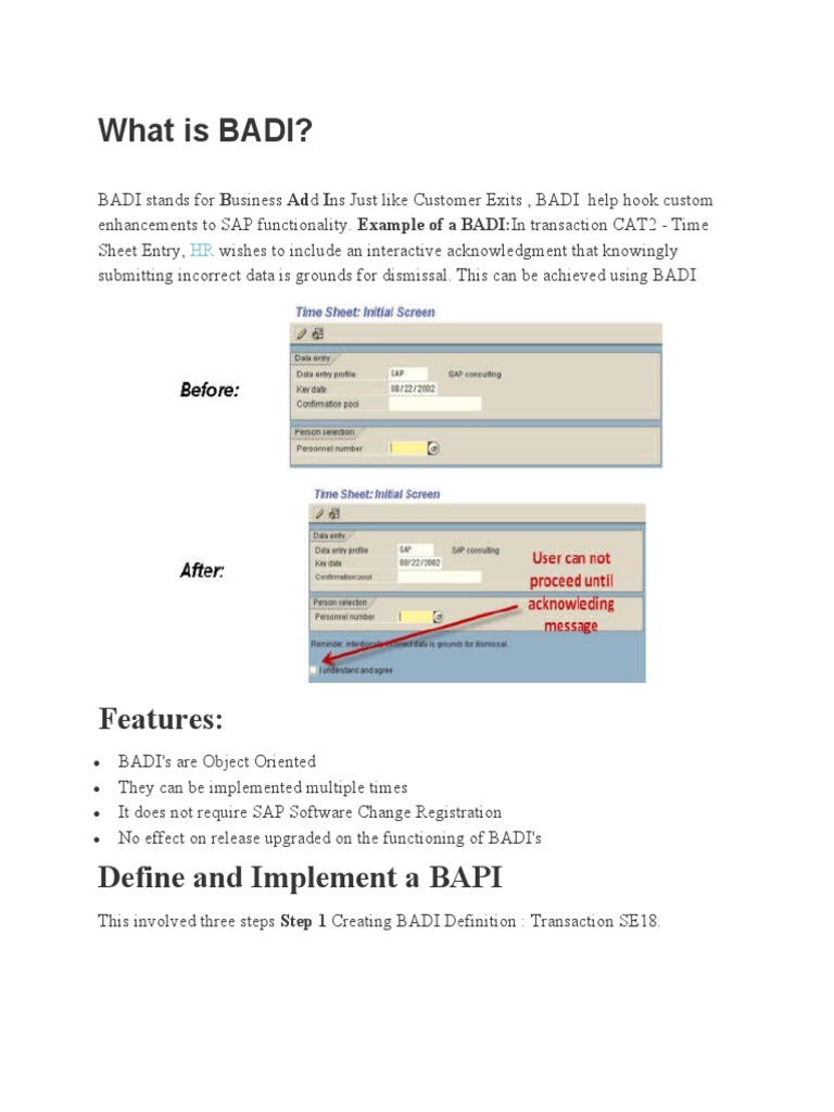 What Is BADI | PDF