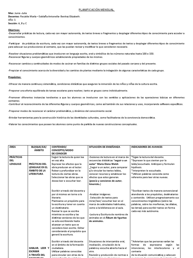 Planificación Mensual: Junio-Julio 1° Año | PDF | Geometría | Sociedad