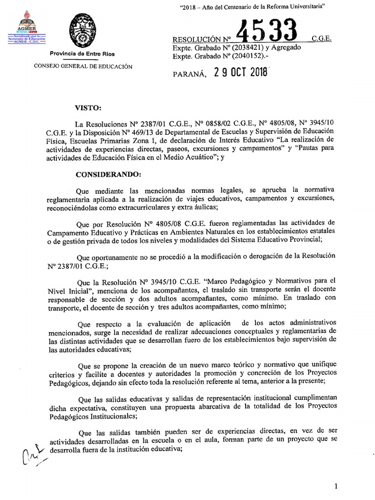 Resolucion 4533-18 Cge | PDF