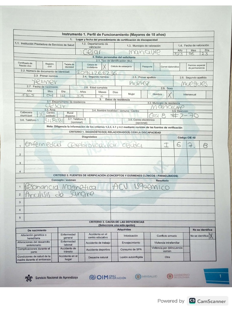 Certificación de Discapacidad | PDF