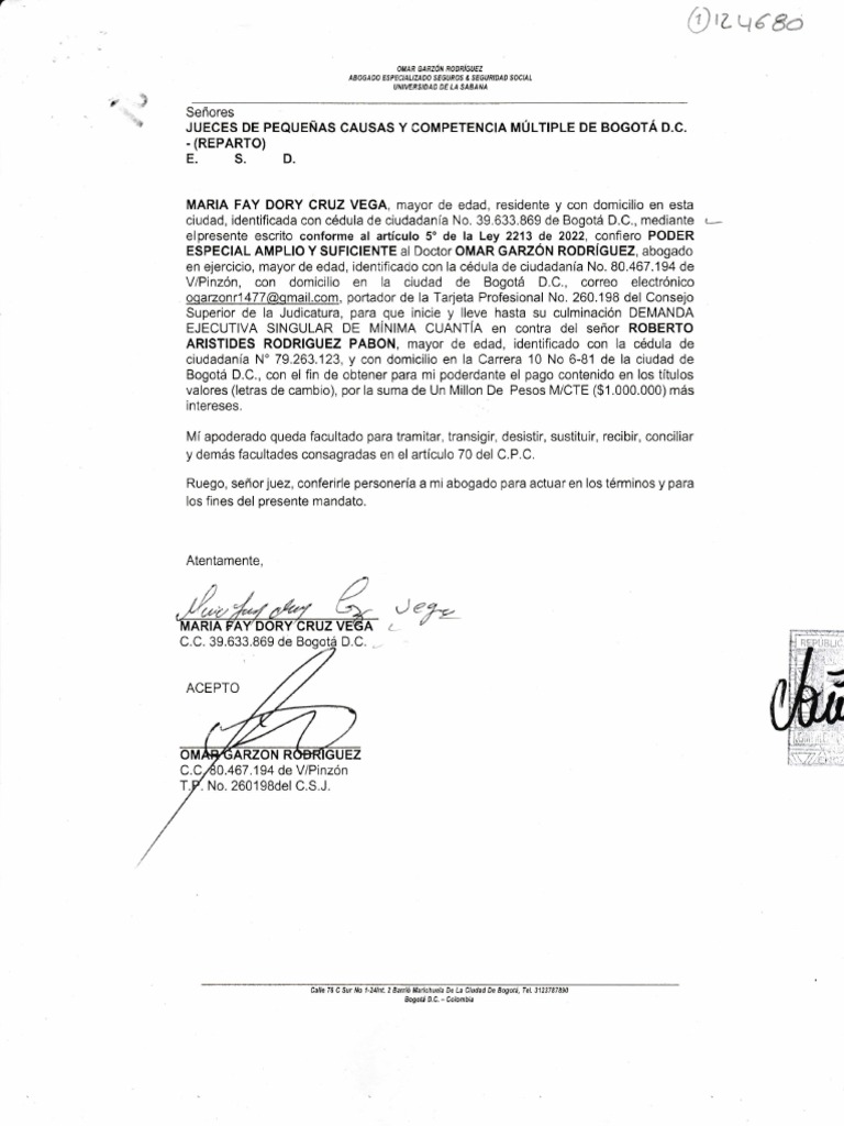 Poder Proceso Ejecutivo | PDF | Autenticación | Justicia