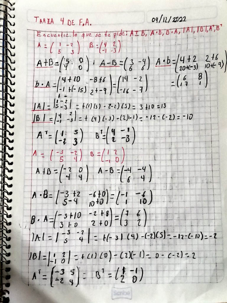 T4. Fundamentos Del Álgebra. | PDF