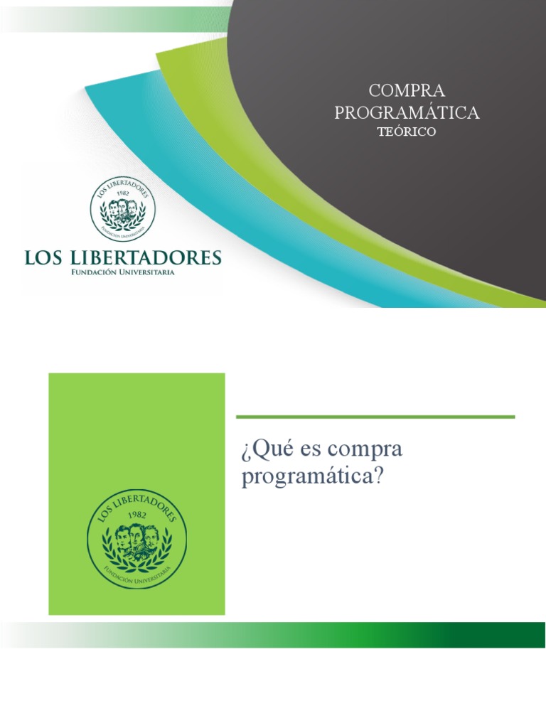(2) Compra Programática | PDF